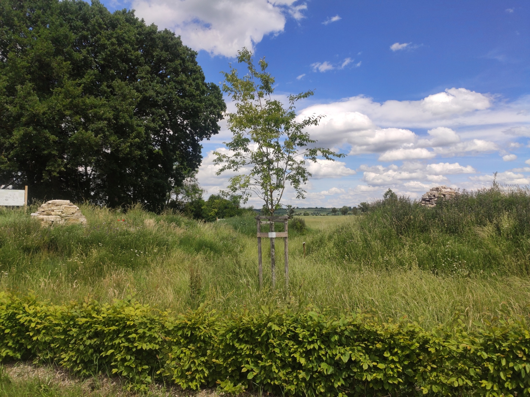 der-botanische-obstgarten-sch-bles-kleinod-landkreis-donauries